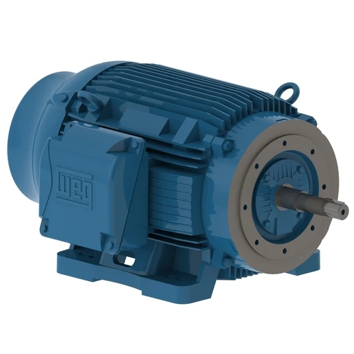 WEG Pumps | Hunter Pumps Industrial