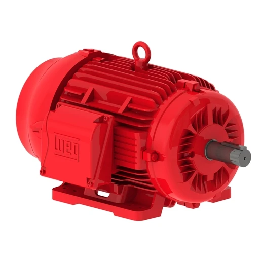 WEG Pumps | Hunter Pumps Industrial